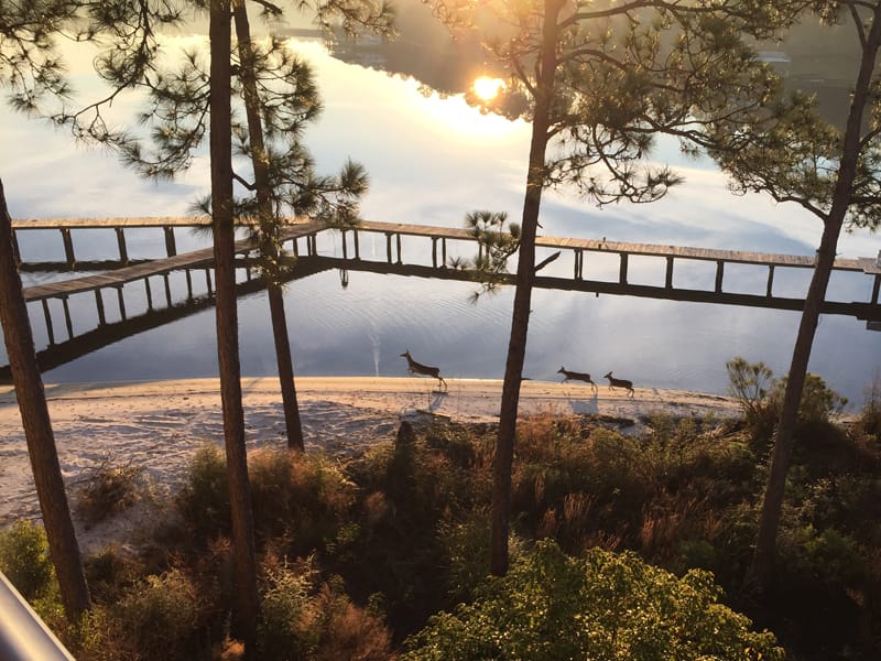 Wolf Bay Landing Condominiums - Foley Sports Tourism